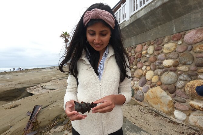 Explore San Diego Tide Pools With a Marine Biologist - Participant Feedback and Highlights