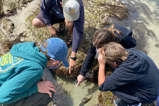 Explore San Diego Tide Pools With a Marine Biologist - Frequently Asked Questions