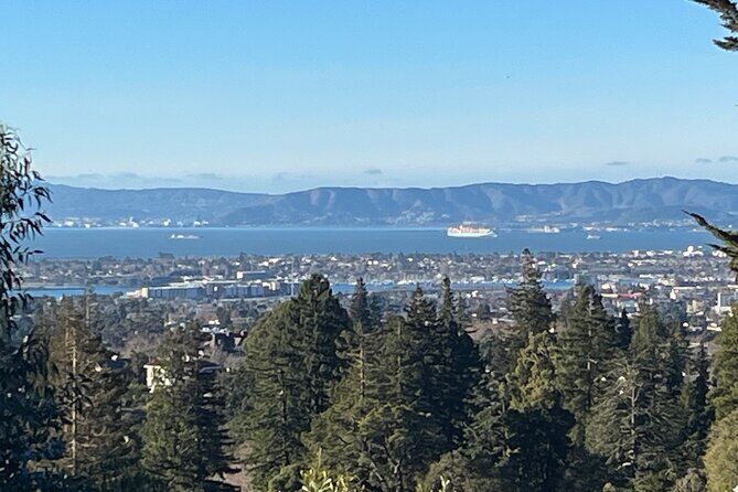 Explore San Francisco Napa Sacramento Oakland Black Exp Car Tour - Authentic Experiences and Unique Insights