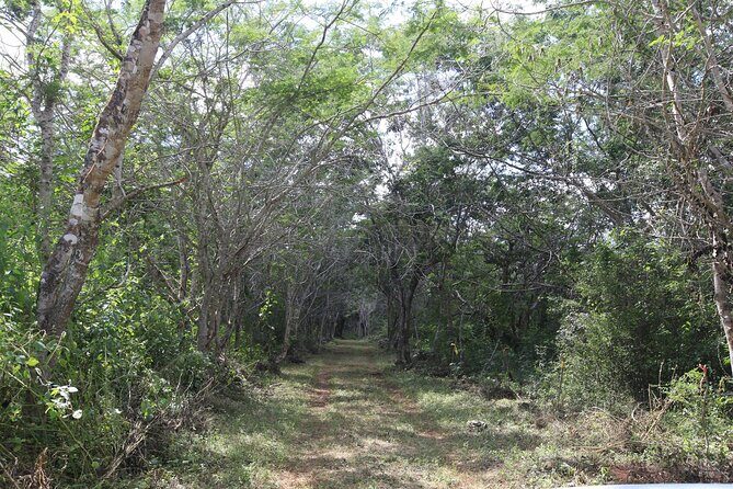 Explore Santa Bárbara Cenote Natural Wonders - FAQ