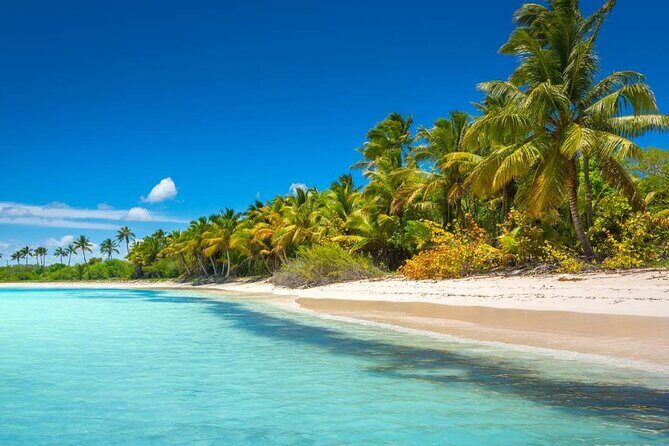 Explore Saona Island from Punta Cana Beaches Nature and Party - Key Points