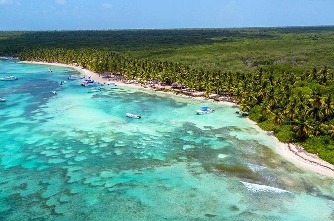 Explore Saona Island from Punta Cana Beaches Nature and Party - Final Thoughts: Who Is This Tour Best For?