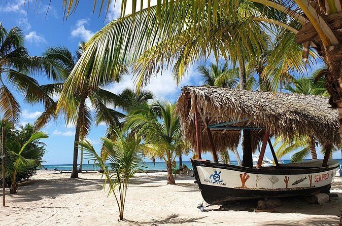 Explore Saona Island from Punta Cana Beaches Nature and Party - The Sum Up
