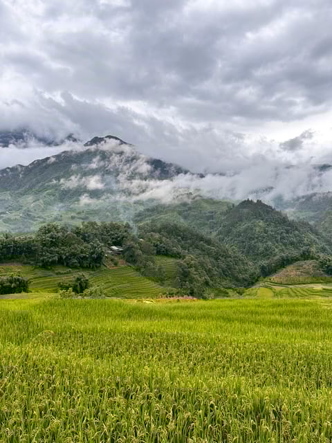 Explore Sapa by TrekkingAdventures, Mountain,Rice fields - Practical Considerations: What to Expect and How to Prepare