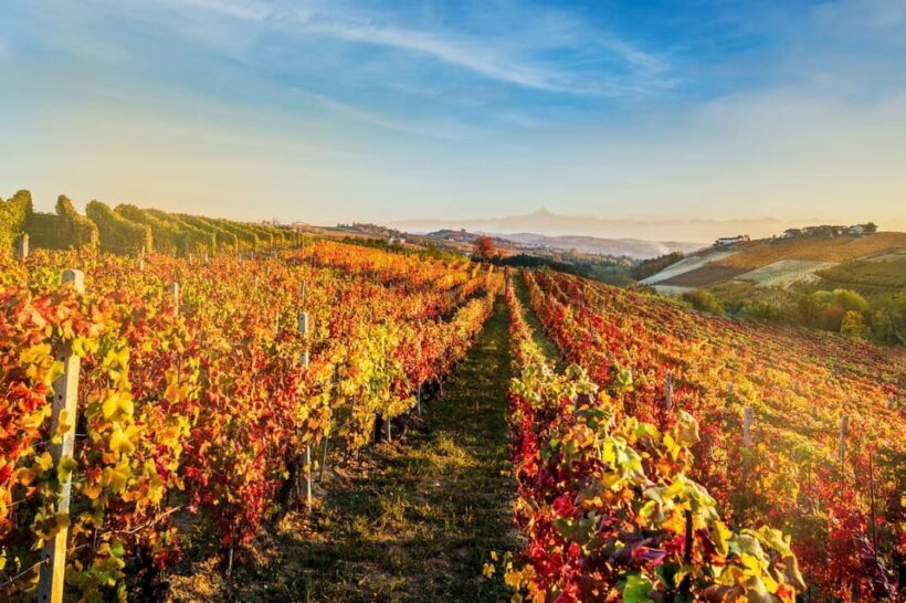Explore & Savor: Dynamic Wine Tasting at Cantina Moscone - Who Should Consider This Tour?