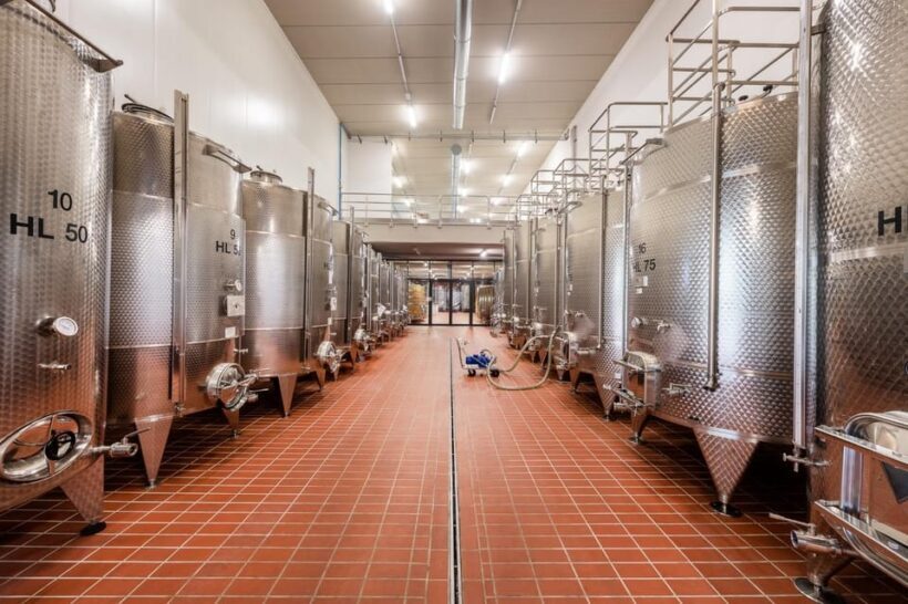 Explore & Savor: Dynamic Wine Tasting at Cantina Moscone - The Sum Up