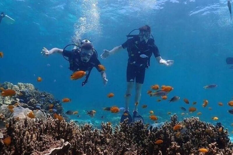 Explore Scuba diving at Racha Yai Island from Phuket - What Makes This Experience Outstanding?