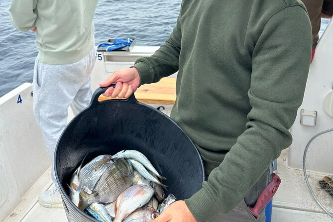 Explore Sesimbra Sports Fishing - Key Points