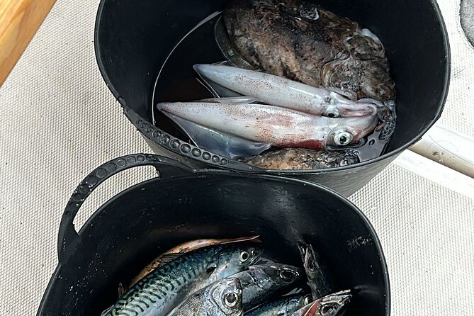 Explore Sesimbra Sports Fishing - Frequently Asked Questions