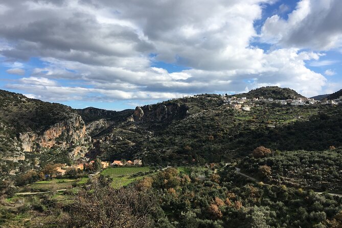 Explore Shepherds Hut and Cheese Making Process - Exploring Crete through Shepherds, Honey, and Local Flavors: A Full-Day Adventure