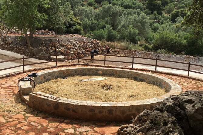 Explore Shepherds Hut and Cheese Making Process - How Does It Compare in Value?