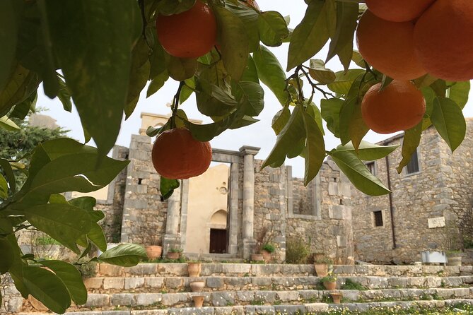 Explore Shepherds Hut and Cheese Making Process - Who Would Enjoy This Tour?