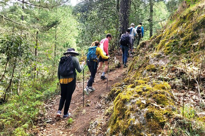 Explore Sierra Norte, Half-Day Hiking Adventure - Why This Tour Works for You
