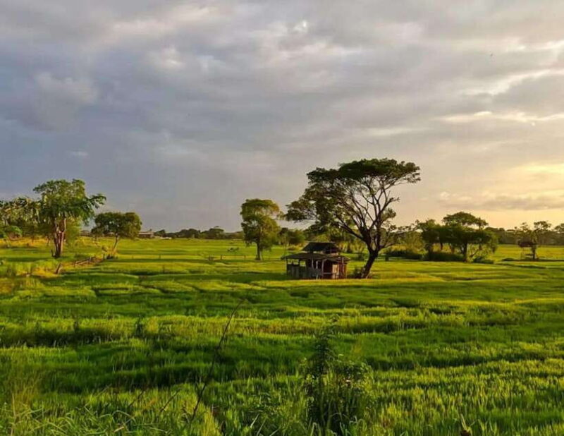 Explore Sigiriyas Hidden Gems: Off-the-Beaten-Path Tour - FAQs