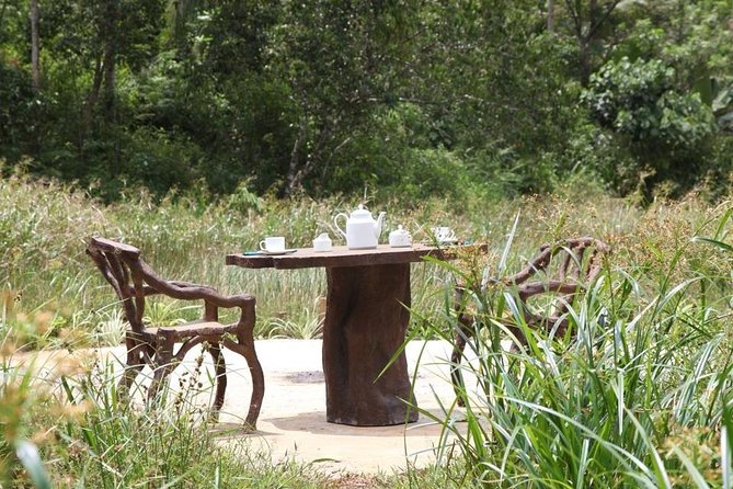 'Explore Sinharaja' rainforest - Discovery Tour (half day) - Exploring the Sinharaja Rainforest: An Authentic Half-Day Adventure