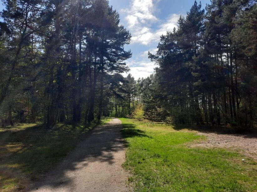 Explore Sobieszewo Island: Nature Walk & Wildlife Tour - Exploring Sobieszewo Island: Nature Walk & Wildlife Tour
