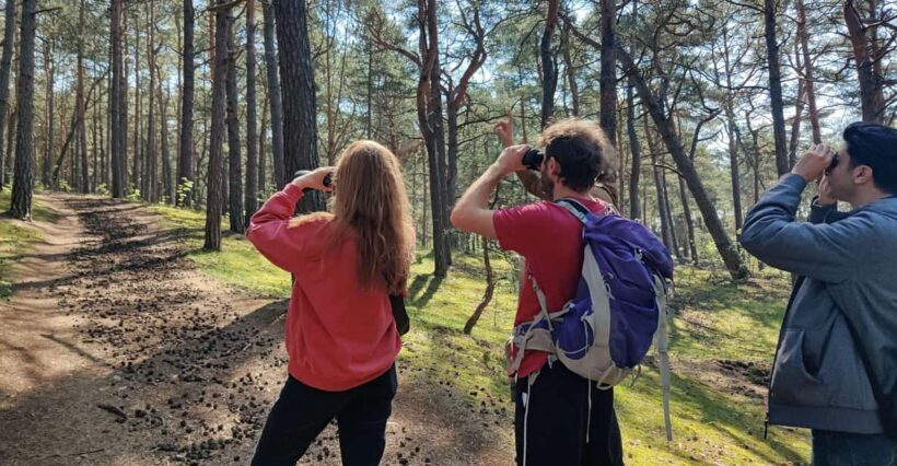 Explore Sobieszewo Island: Nature Walk & Wildlife Tour - Who Will Love This Tour?