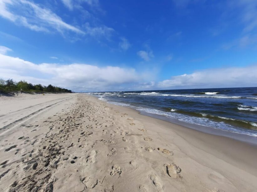 Explore Sobieszewo Island: Nature Walk & Wildlife Tour - The Sum Up