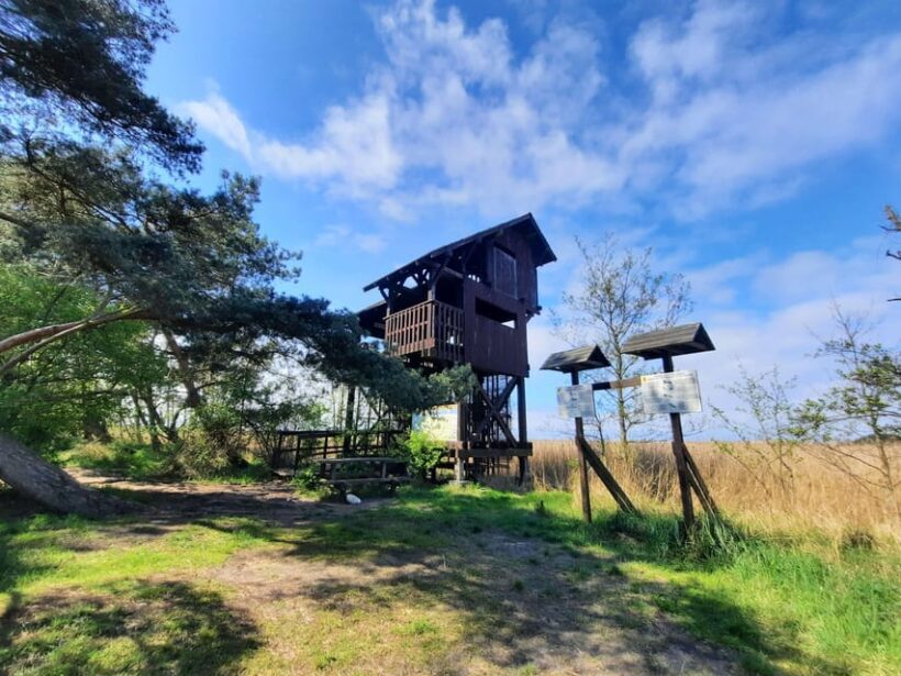 Explore Sobieszewo Island: Nature Walk & Wildlife Tour - FAQ
