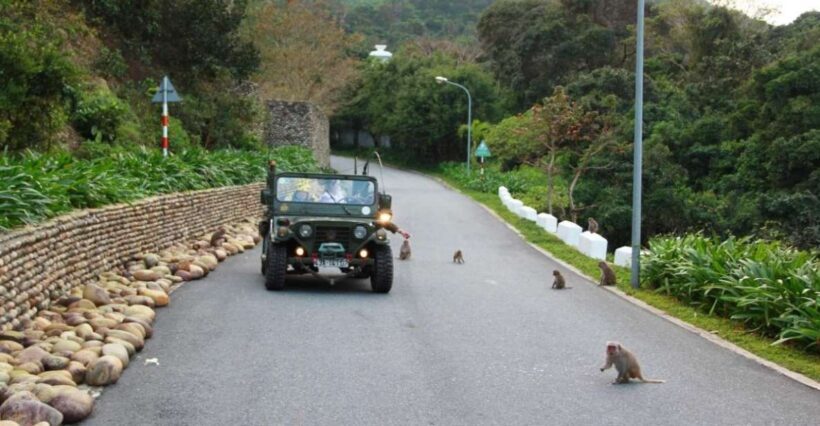 Explore Son Tra Peninsula by US Army Jeep - A Closer Look at the Itinerary and Experience