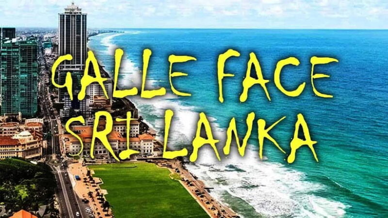 Explore Sri Lanka: One-Day City Tour with Colombo Highlights - The Itinerary in Detail