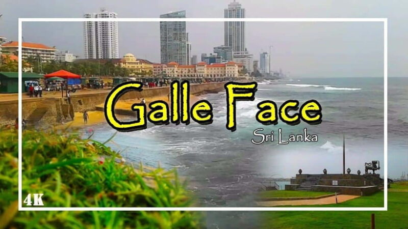 Explore Sri Lanka: One-Day City Tour with Colombo Highlights - Transportation and Pace