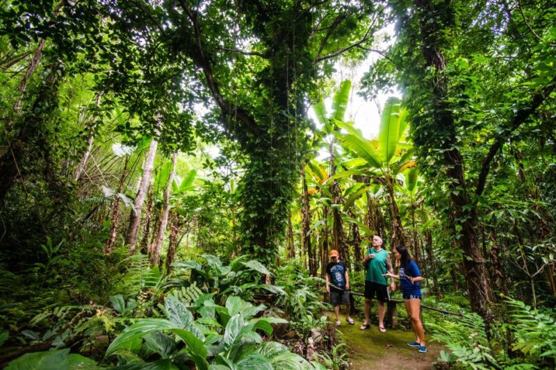 Explore Sri Sangwan Waterfall and Giant Cave I Chiang Mai - Detailed Breakdown of the Tour