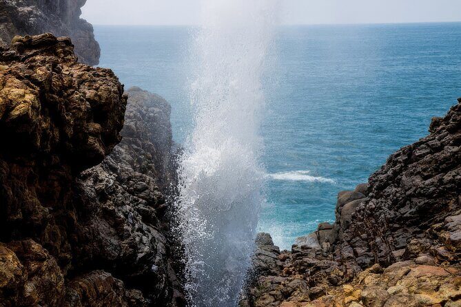 Explore Tangalle's History and Nature Private Shore Excursion - Key Points