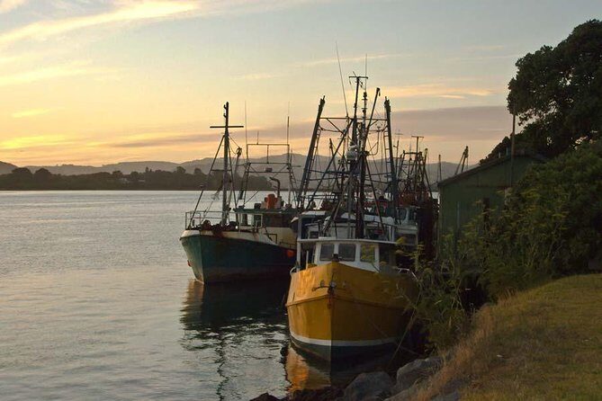 Explore Tauranga: Self-Guided Audio Tour - Key Points