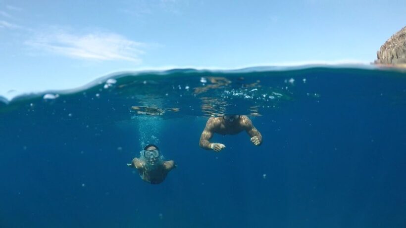 Explore Tenerife with the Snorkel Kit - Final Thoughts: Who Will Love This Experience?