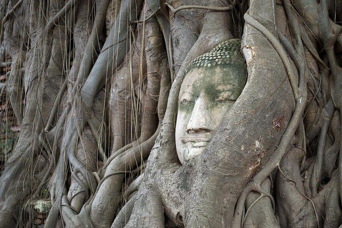 Explore the ancient capital of Ayutthaya by tuk-tuk - The Sum Up: Who is this tour best for?
