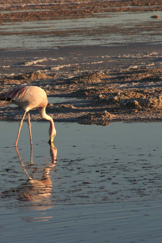 Explore The Atacama Desert and The Valley of Moon on a bike - Final Thoughts
