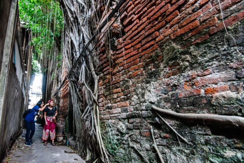 Explore The Back Alleys And Hidden Gems In Chinatown Bangkok - Who Will Enjoy This Tour?