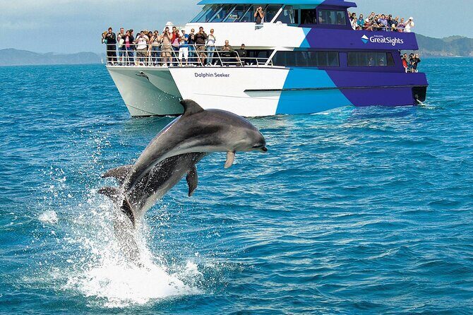 Explore The Bay of Islands Full Day Private Tour from Auckland - Who Should Consider This Tour?