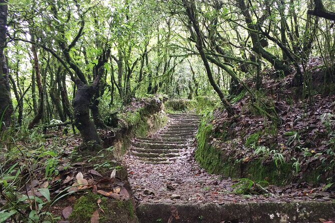 Explore the Beauty of Champa Devi: A Rewarding Hiking Experience - Introduction: Why Consider a Hike to Champa Devi?