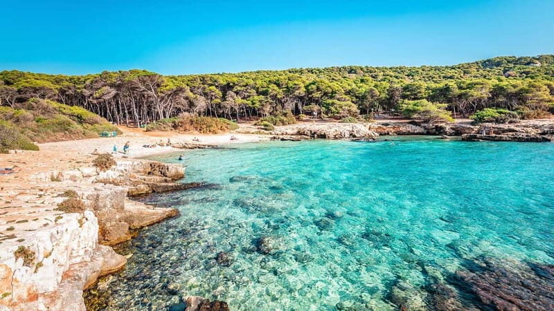 Explore the Beauty of Porto Selvaggio Self-Guided Bike Tour - Discovering Porto Selvaggio’s Natural and Cultural Charm