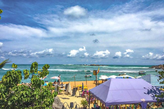 Explore the Beauty of South Coast in One Day - Transport, Timing, and Practicalities