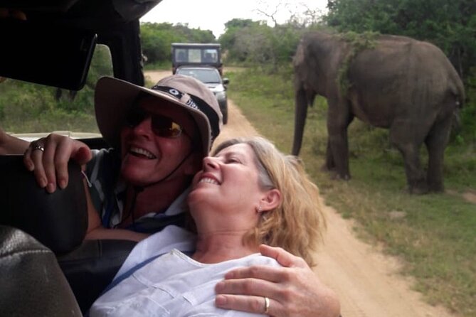 Explore The Beauty Of Udawalawe National Park From South Coast During 01 Day - The Experience: An In-Depth Look at the Tour Itinerary