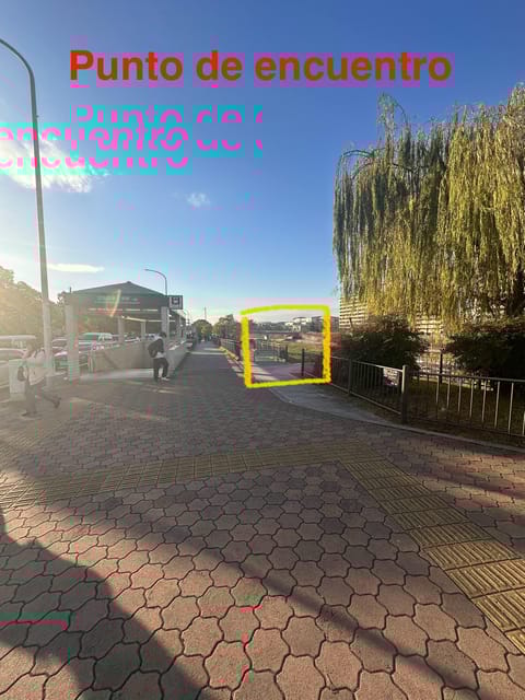 Explore the Best of Kyoto: Temples, History and Tradition. - Key Points