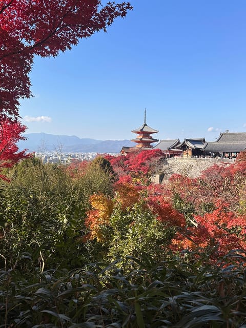 Explore the Best of Kyoto: Temples, History and Tradition. - Kiyomizu-dera Temple: Panoramic Views and a Storied Past