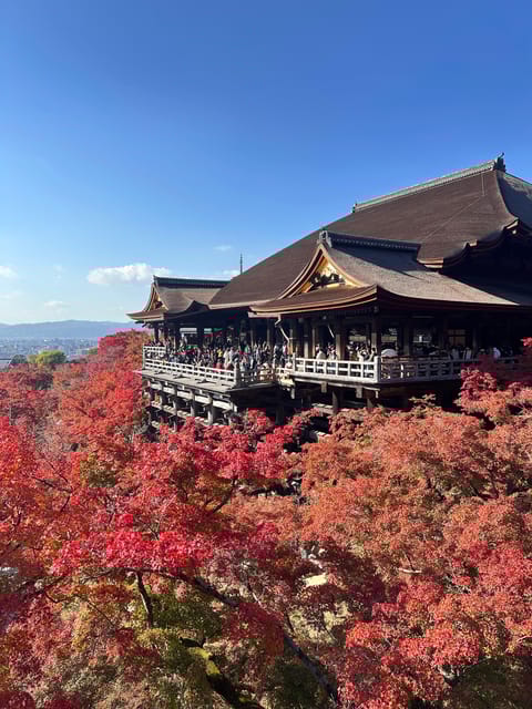 Explore the Best of Kyoto: Temples, History and Tradition. - Exploring the Traditional Atmosphere of Higashiyama Ward
