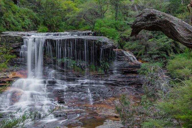 Explore The Blue Mountains with your local guide - Full Day Tour - Blackheath and Anvil Rock