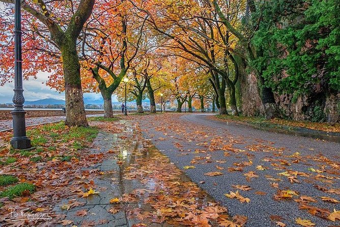 Explore the capital of Epirus, Ioannina. - Authentic Feedback from Past Travelers