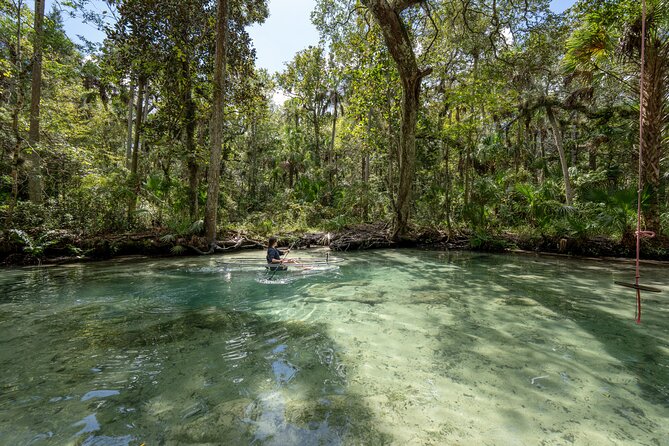 Explore The Chaz: Exclusive Clear Kayak Tours Near Crystal River - Who Should Book This Tour?