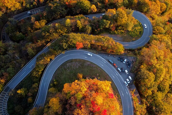 Explore the Culture and History of Nikko With This Private Tour - Highlights of the Nikko Tour