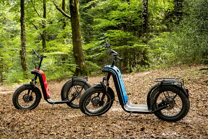 Explore the forests of Haut Languedoc on an electric scooter - In The Sum Up