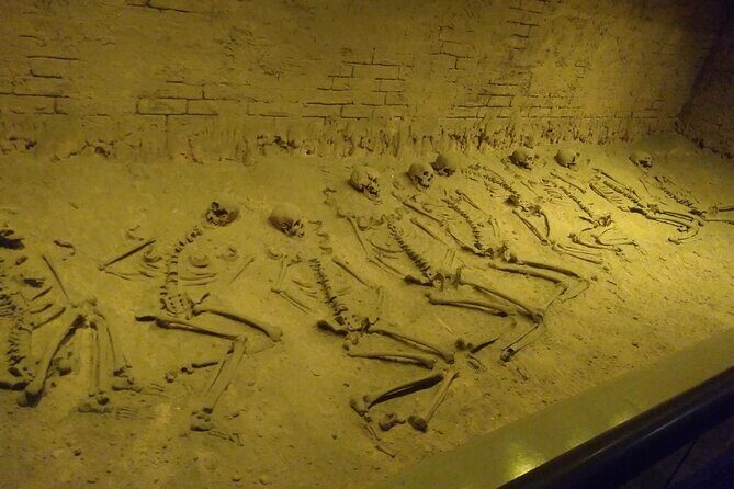 Explore the Grand National Museum of Anthropology - Why Choose This Tour?