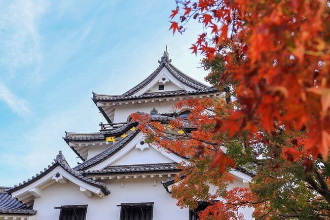 Explore the Historic Castle Town of Hikone from Osaka - Exploring the Historic Castle Town of Hikone from Osaka: A Detailed Review