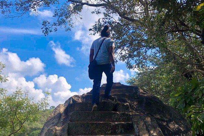 Explore the History Of Anuradhapura in a Private Guided Tour - Why This Tour Works