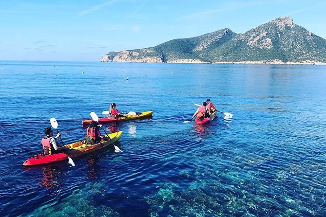 Explore the Island of Dragonera by Kayak and on Foot - Key Points